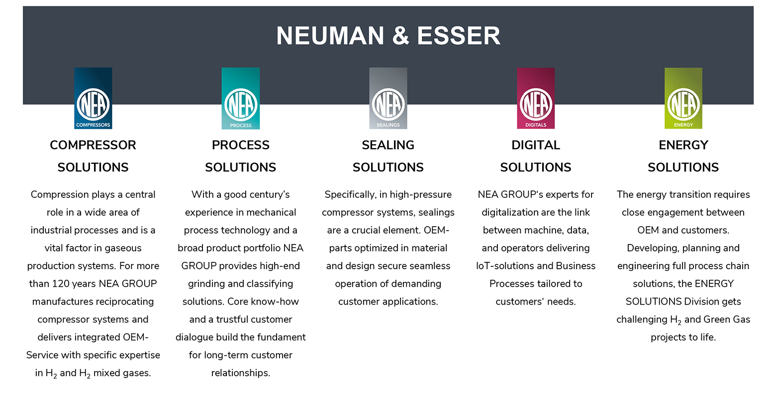 Company / NEA Agile Solution Experts